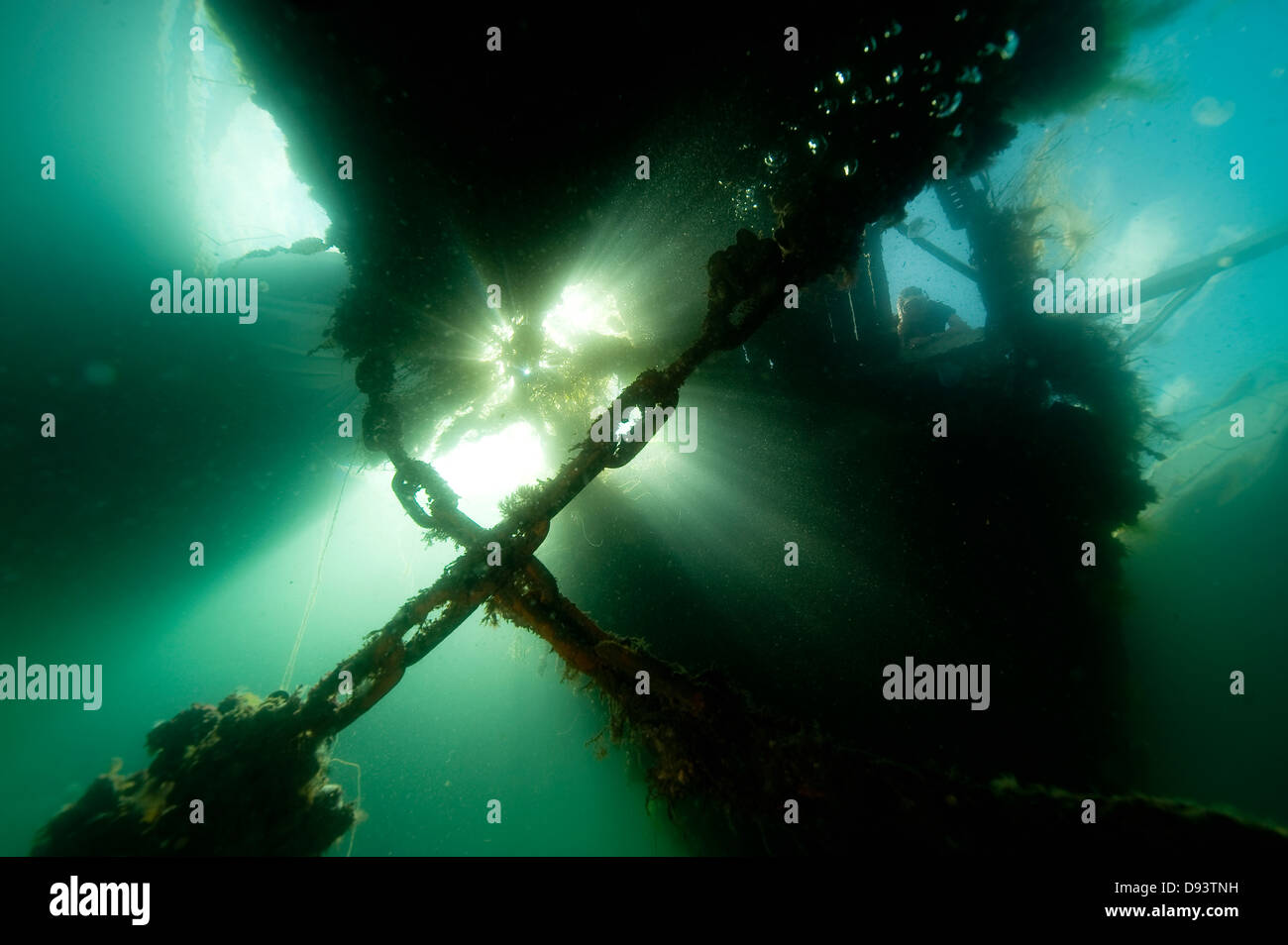 Overgrown chains underwater Stock Photo - Alamy