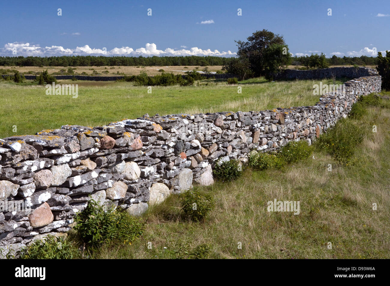 Stone walls in a landscape, Sweden Stock Photo - Alamy