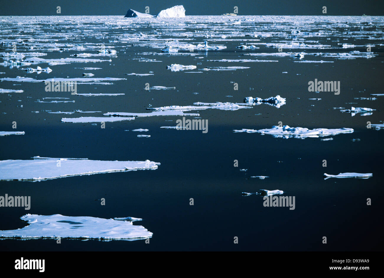 Pack ice floating on sea Stock Photo - Alamy