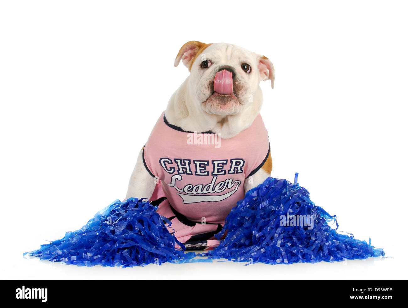 Cheerleader High Resolution Stock Photography and Images - Alamy