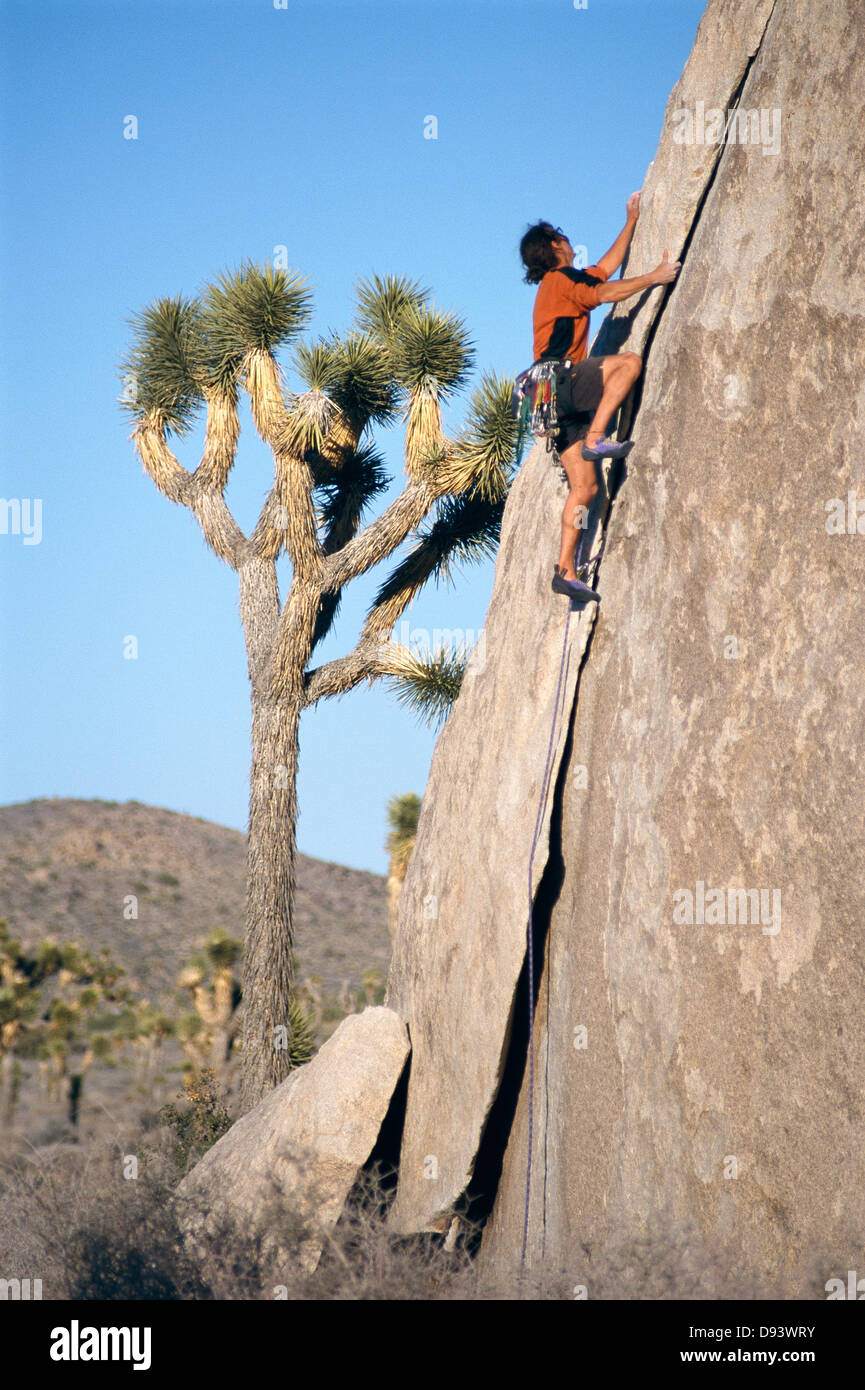 Mountain climbing in Joshua Tree National Park Stock Photo - Alamy