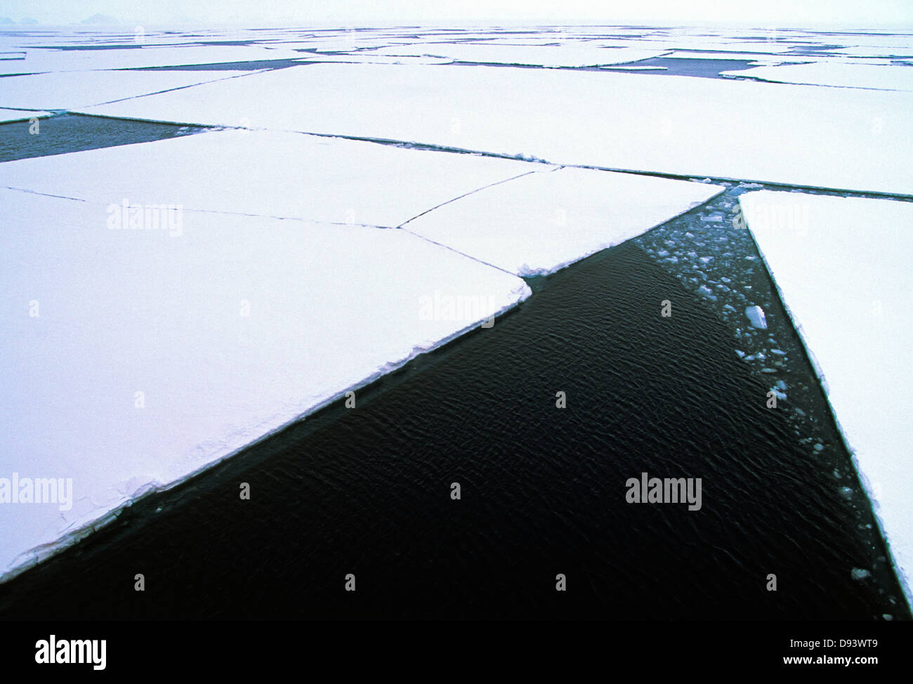 Pack ice floating on sea Stock Photo - Alamy