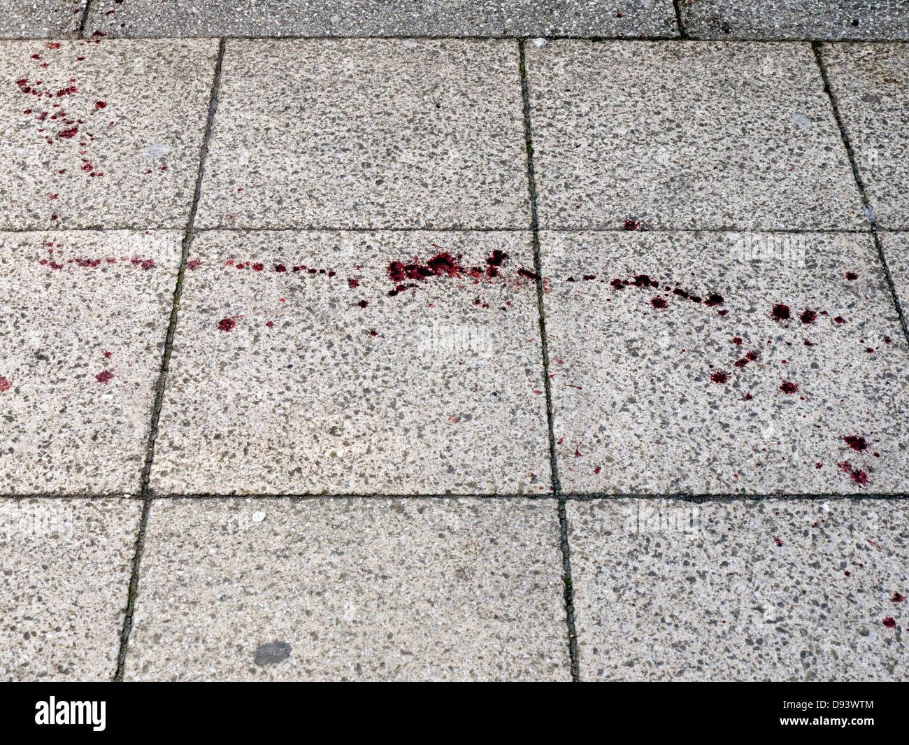 fresh blood stains spattered on a pavement from the previous nights ...