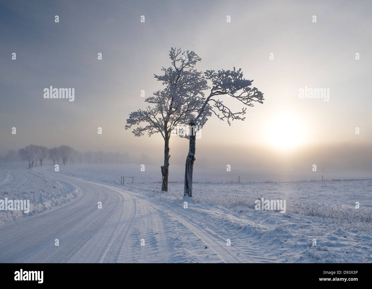 Rural scene winter hi-res stock photography and images - Alamy