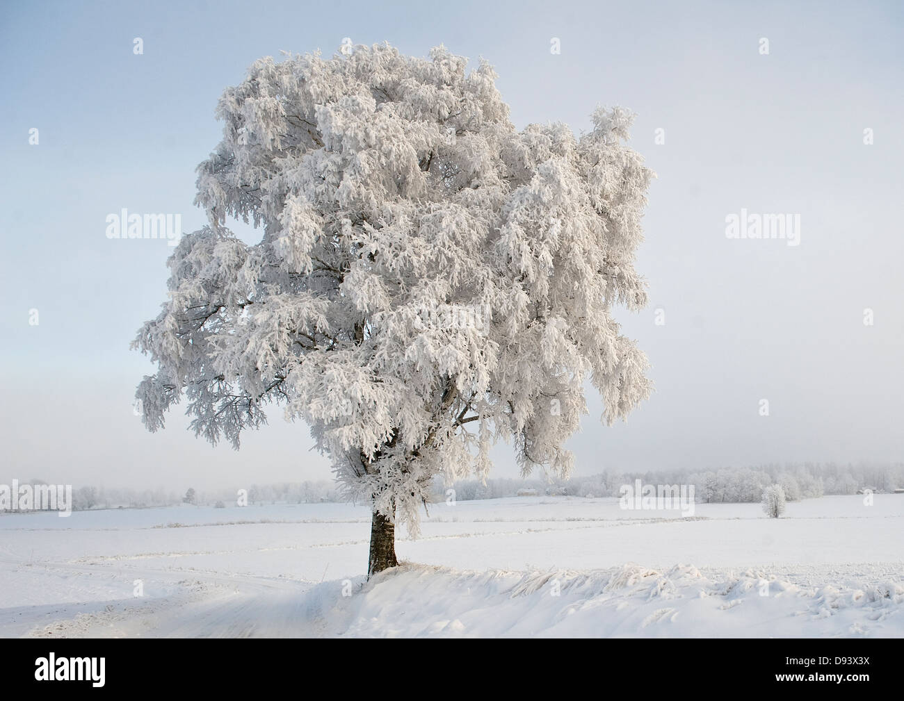 Rural scene in winter Stock Photo - Alamy