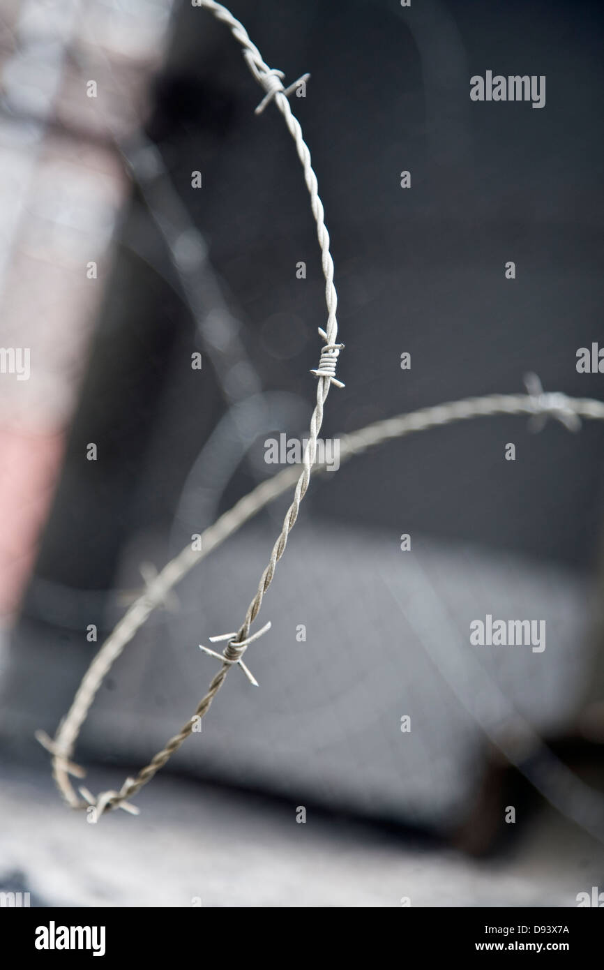Close-up of wire mesh Stock Photo - Alamy