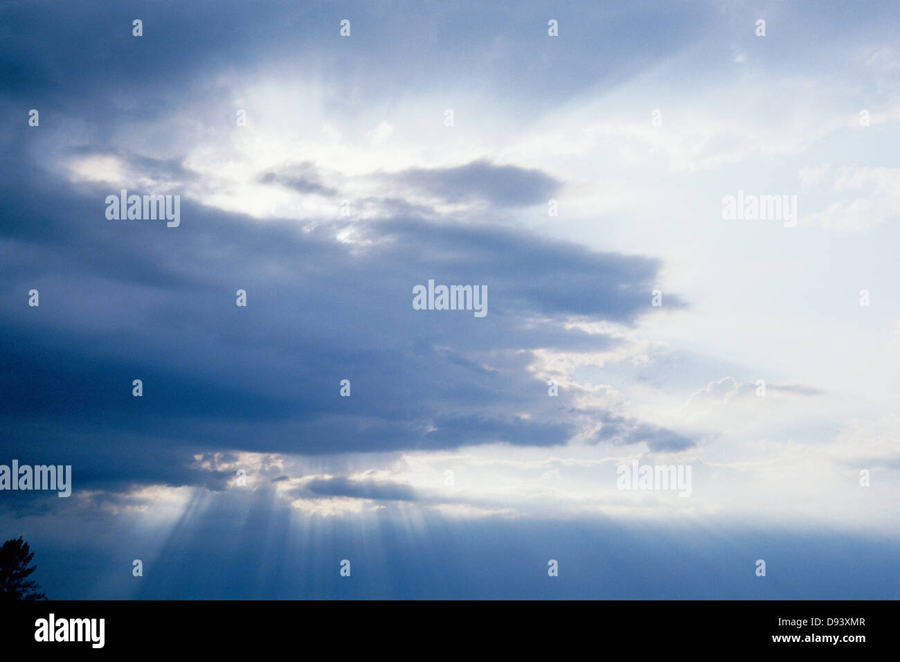 Cloudy sky, low angle view Stock Photo - Alamy