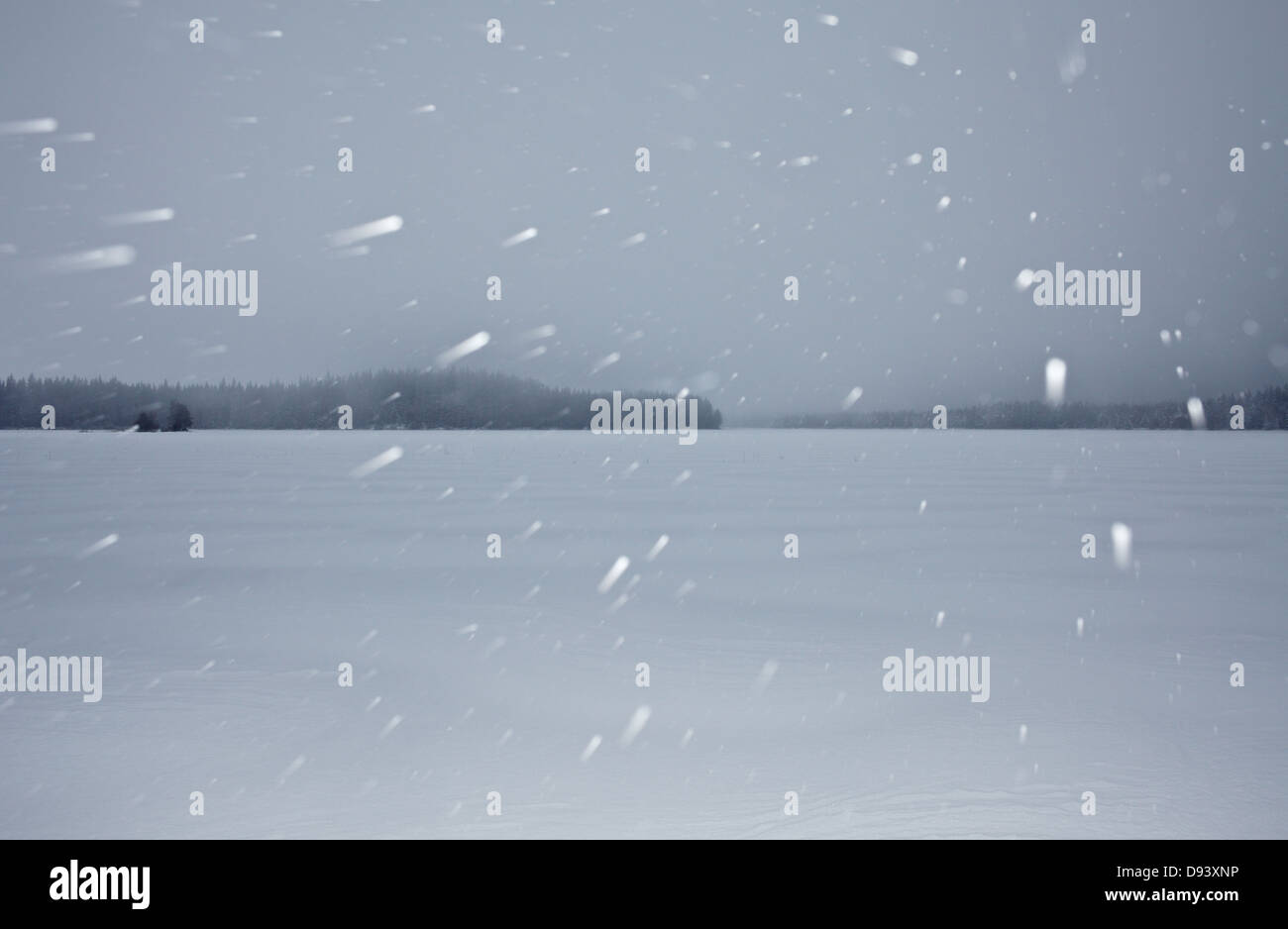 View of snowfall Stock Photo - Alamy