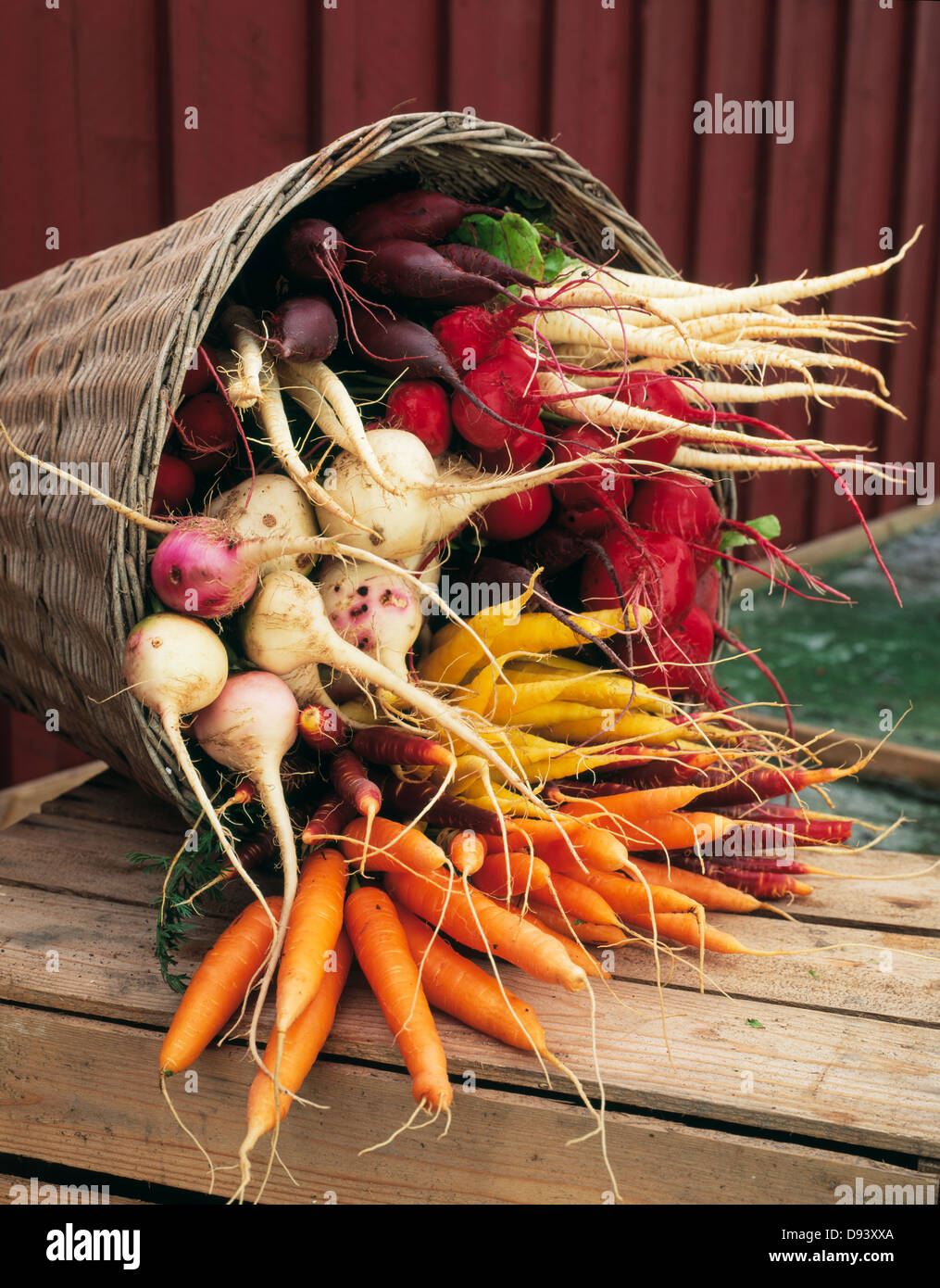 Root vegetables hi-res stock photography and images - Alamy