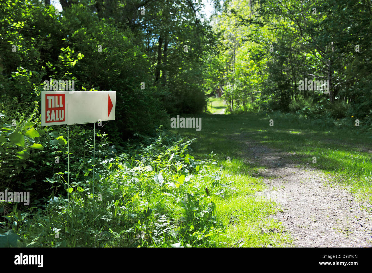 Directional sign in forest Stock Photo - Alamy