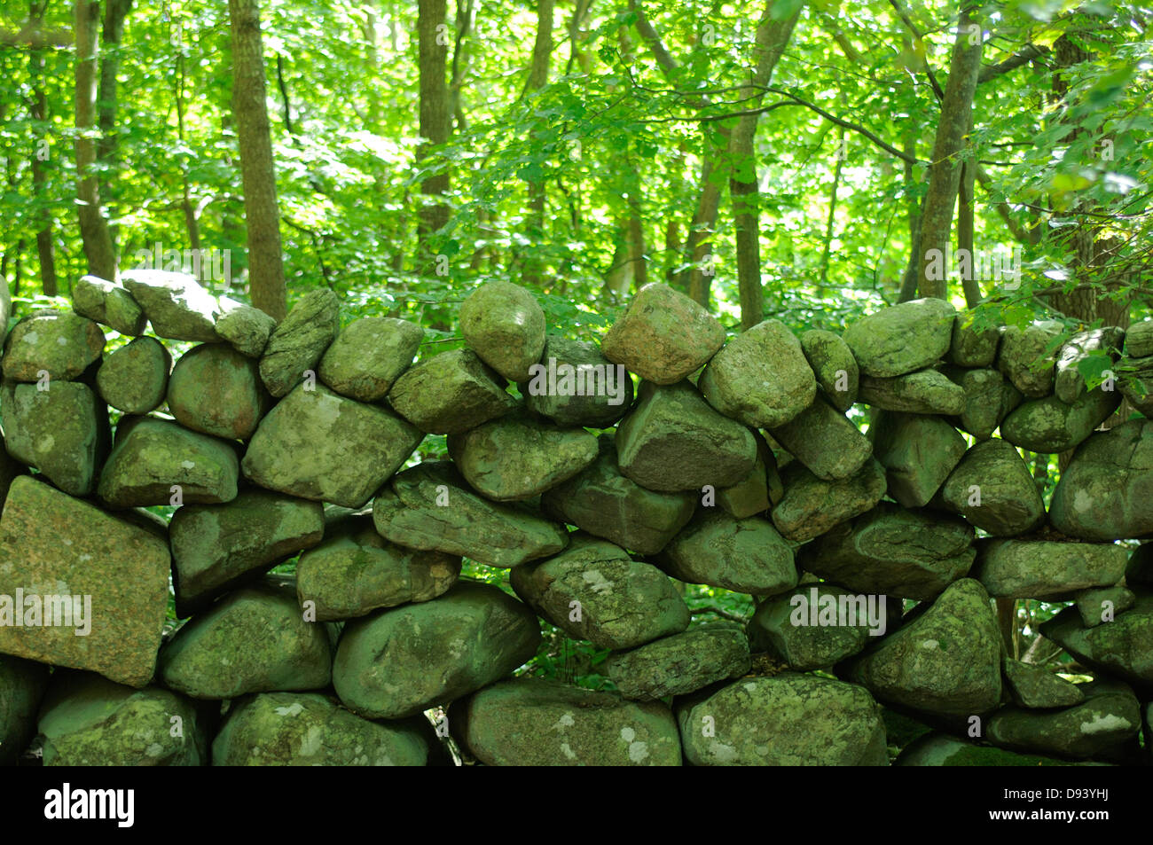 Stona wall in forest Stock Photo - Alamy