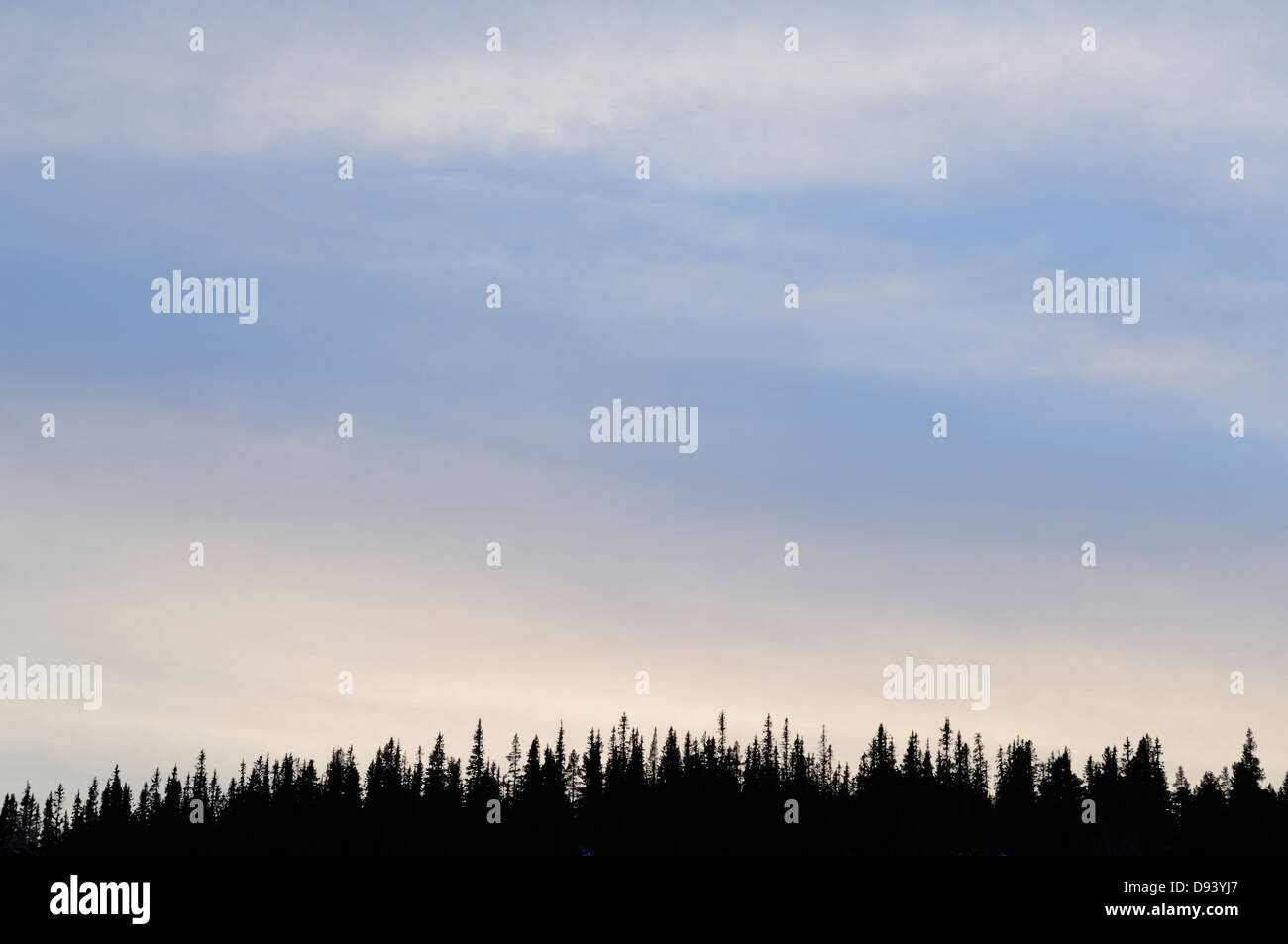 Treetops hi-res stock photography and images - Alamy