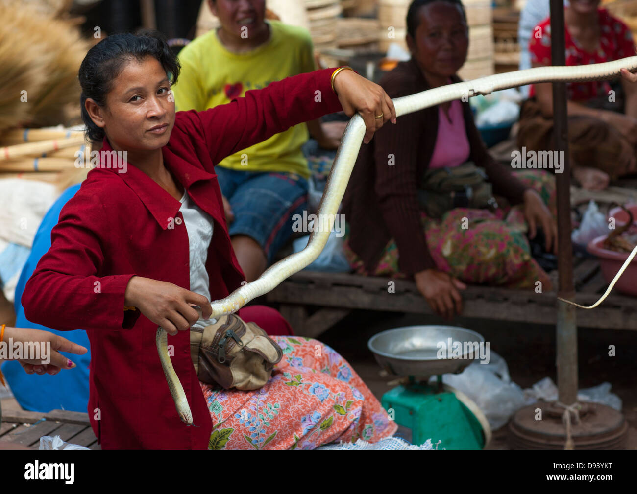 Woman Selling Snakes, Thakhek, Laos Stock Photo - Alamy