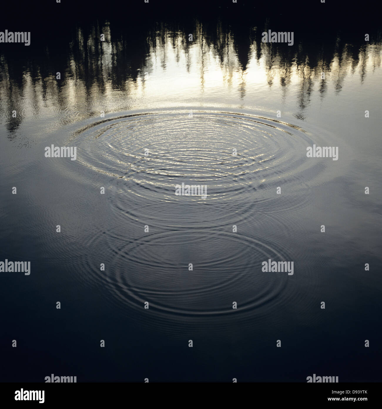 Trees reflected on rippled lake water Stock Photo - Alamy
