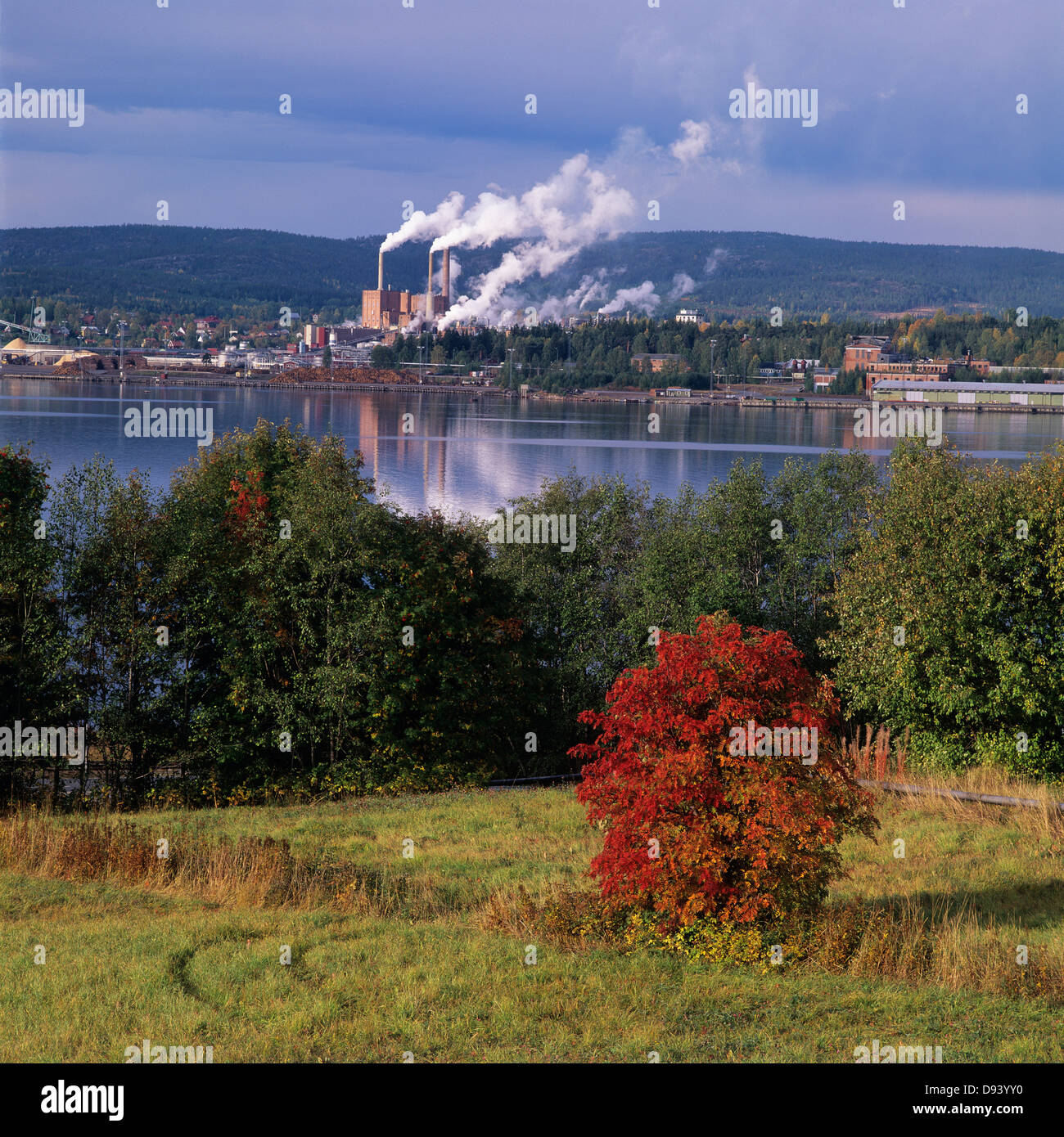 View of paper mill from across lake Stock Photo - Alamy