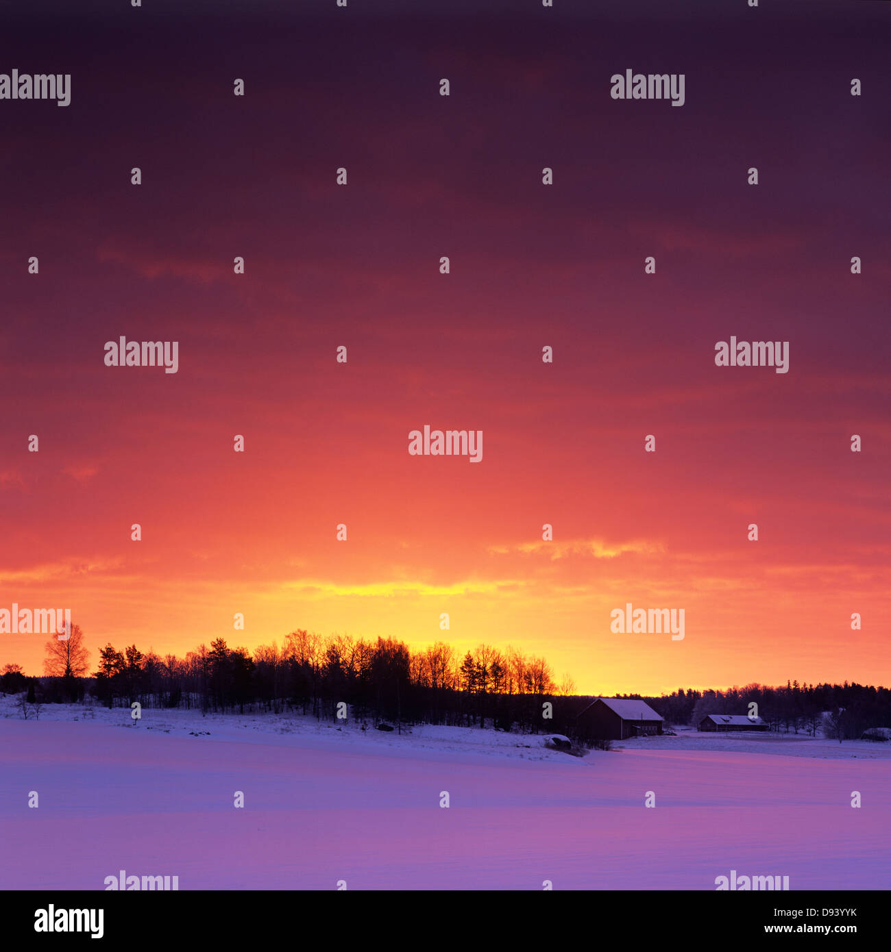 Sunset over snow covered landscape Stock Photo - Alamy