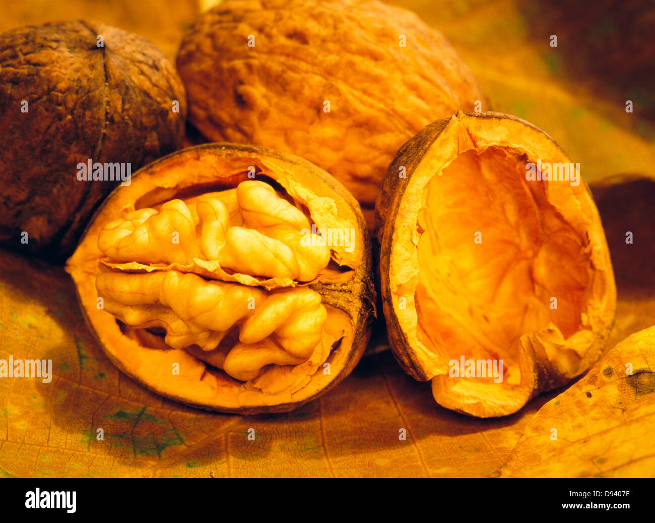 Walnut close hi-res stock photography and images - Alamy