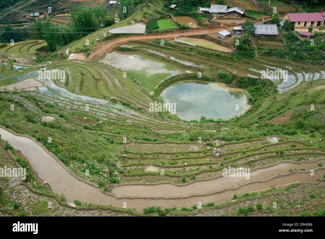 Sapa Vietnam - rice paddies Stock Photo - Alamy