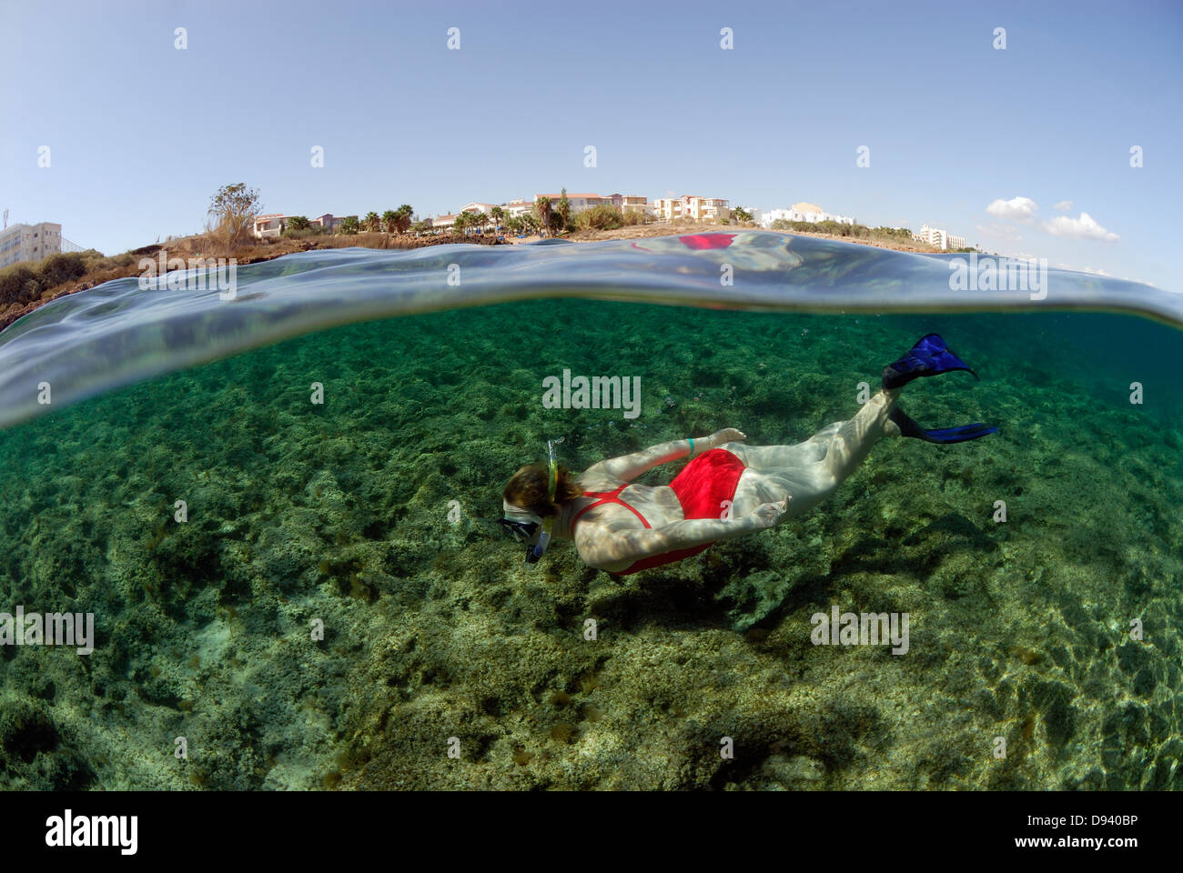 Woman free diving under sea Stock Photo - Alamy