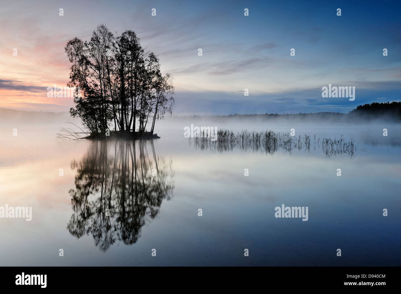 Dawn water landscape landscape lake people light trees hi-res stock ...
