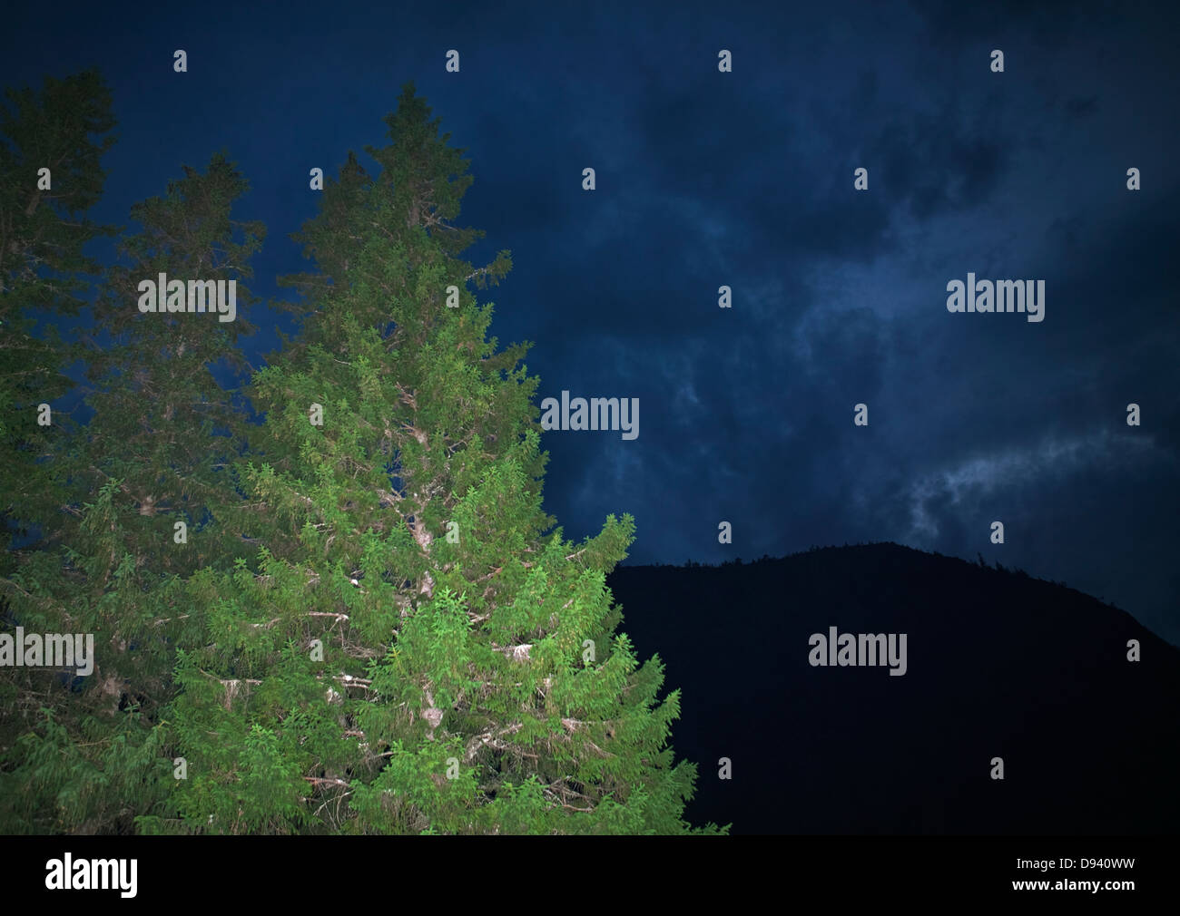 Angermanland hi-res stock photography and images - Alamy