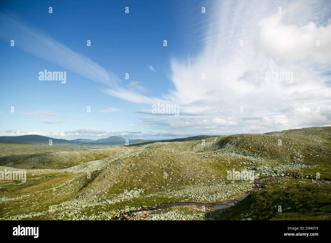 Fjeld, Funasdalen, Harjedalen, Sweden Stock Photo - Alamy