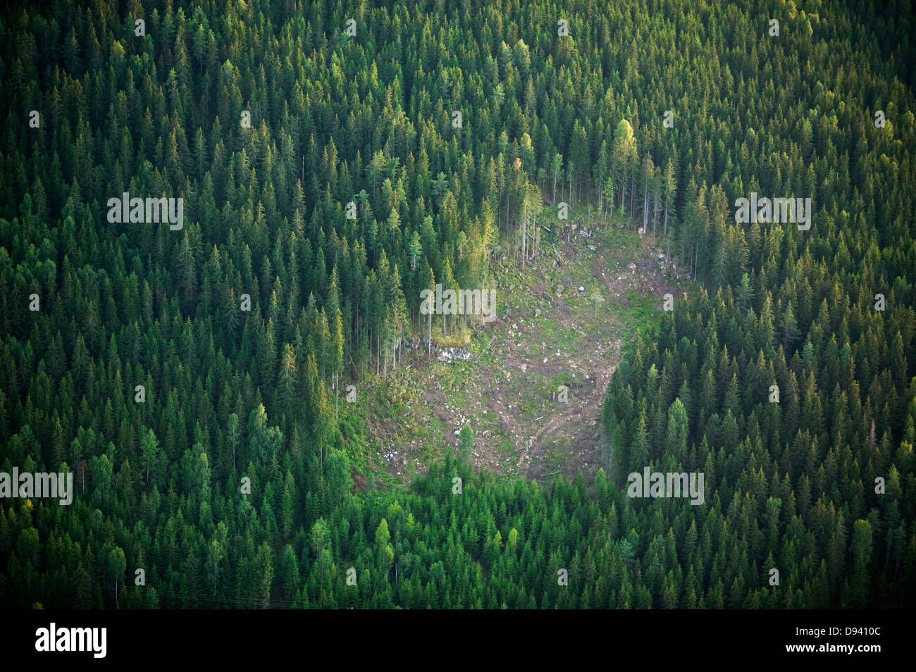 Aerial view clear cut forest hi-res stock photography and images - Alamy