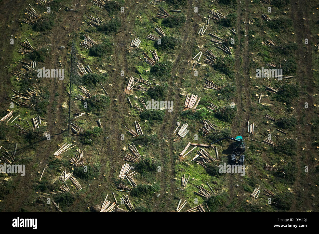 Forestry work hi-res stock photography and images - Alamy