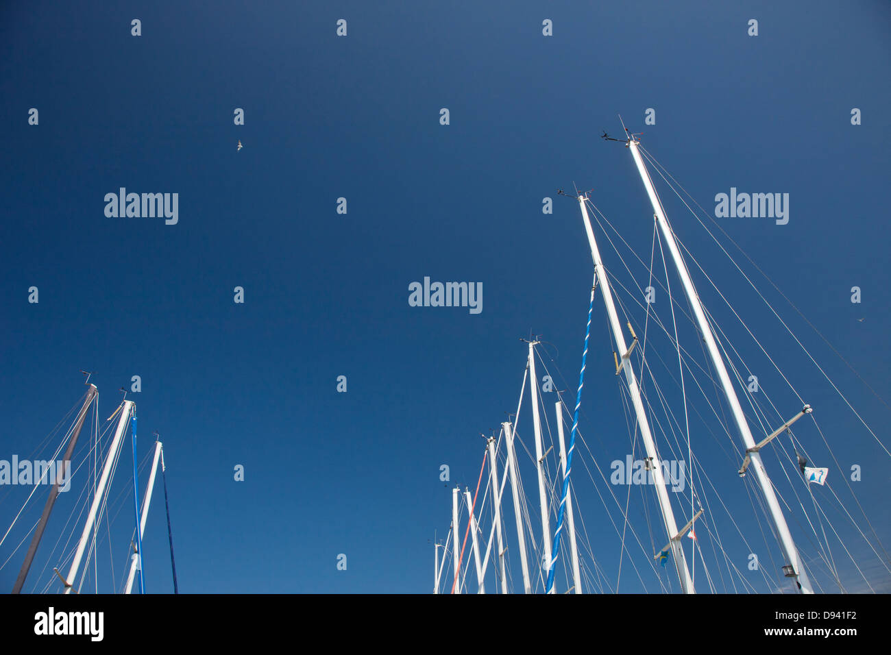 Blue sails hi-res stock photography and images - Alamy