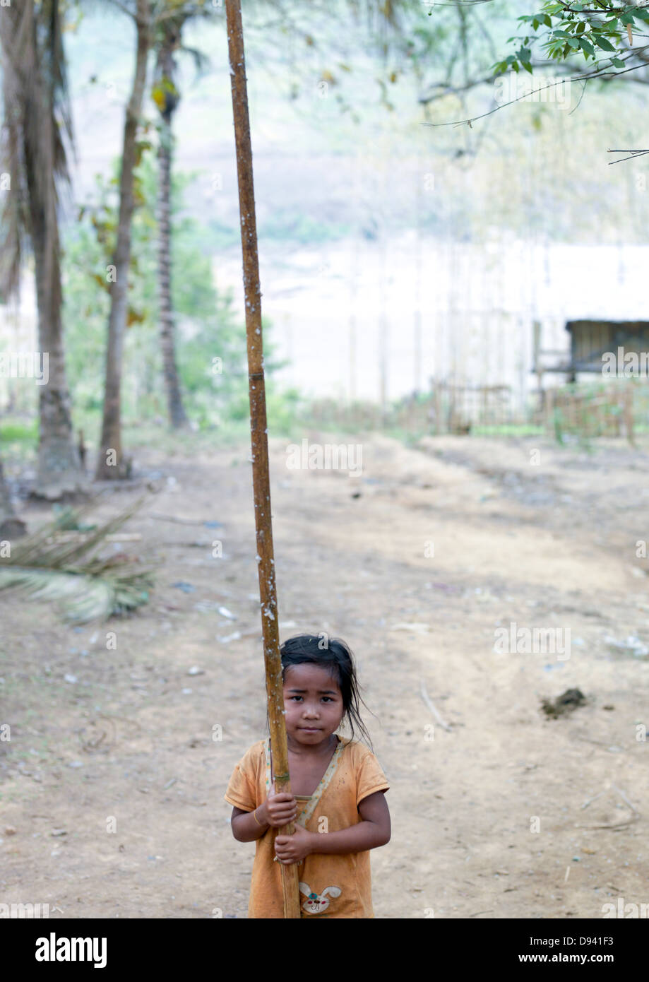 Indigenous insects hi-res stock photography and images - Alamy