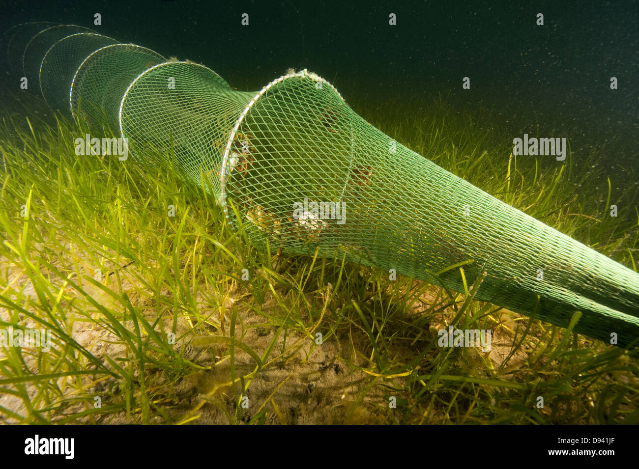 Fishing net on sea bed Stock Photo - Alamy