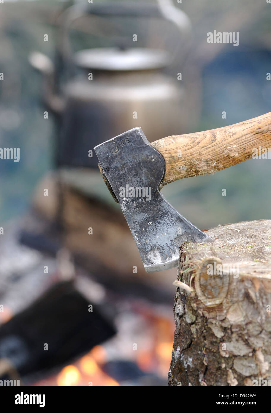 Axe stuck in tree stump Stock Photo - Alamy