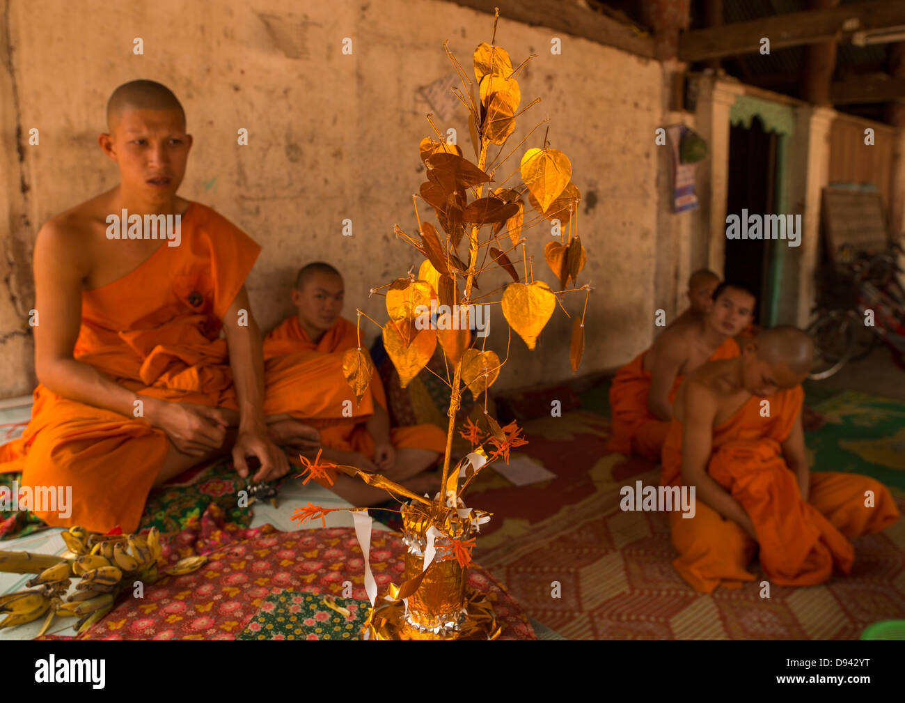 Novice buddhist monks hi-res stock photography and images - Alamy