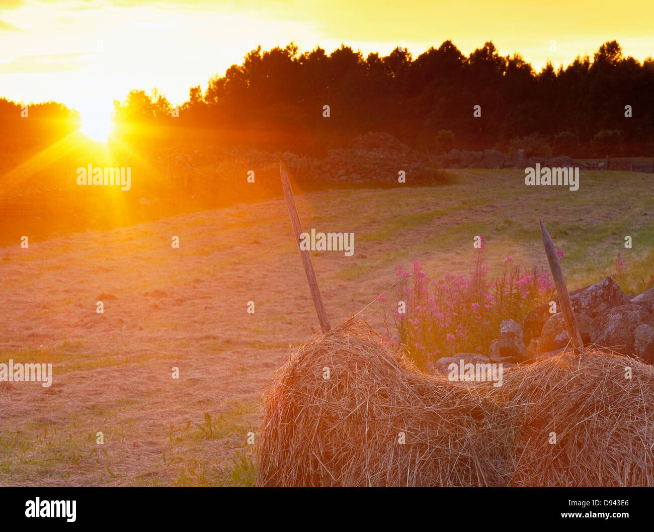 Hay drying rack in hi-res stock photography and images - Alamy