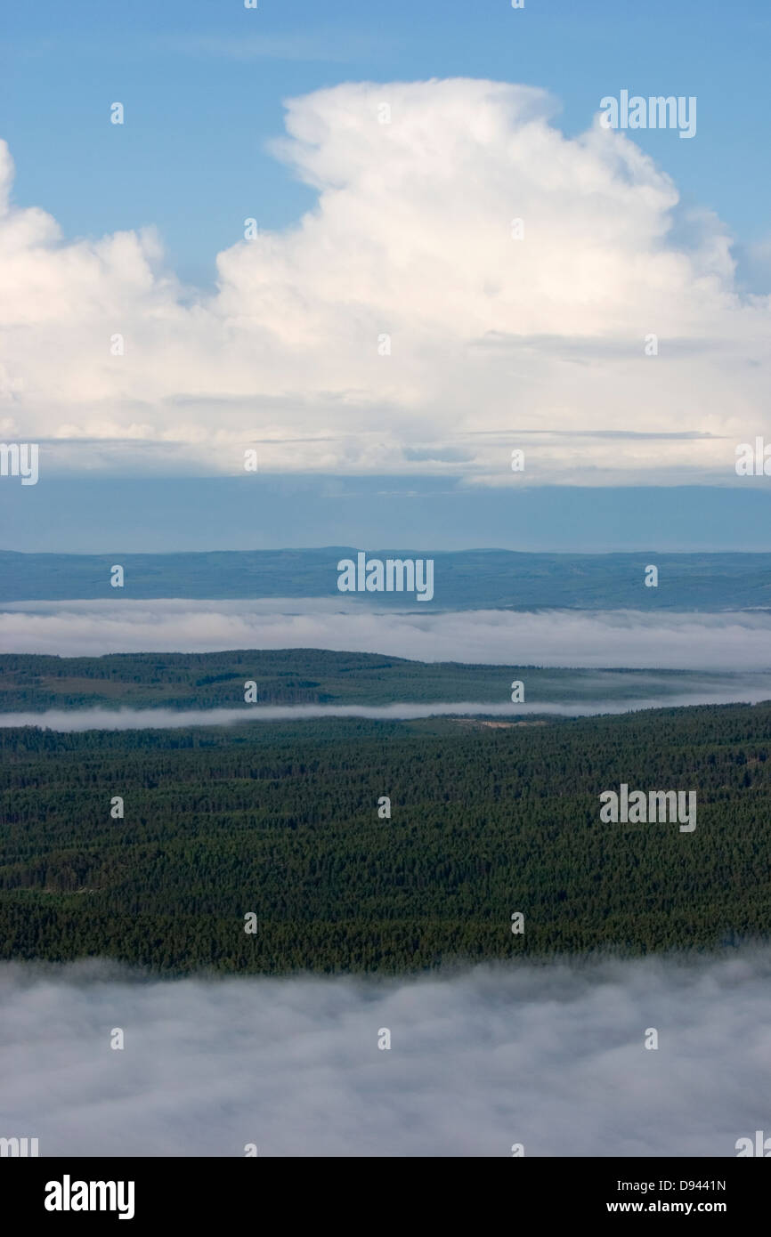 Forest and water landscape, aerial view, Sweden Stock Photo - Alamy