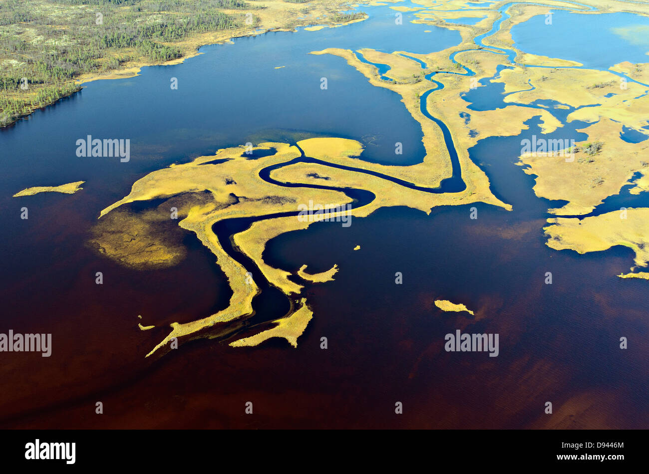 Aerial view of swamp Stock Photo - Alamy