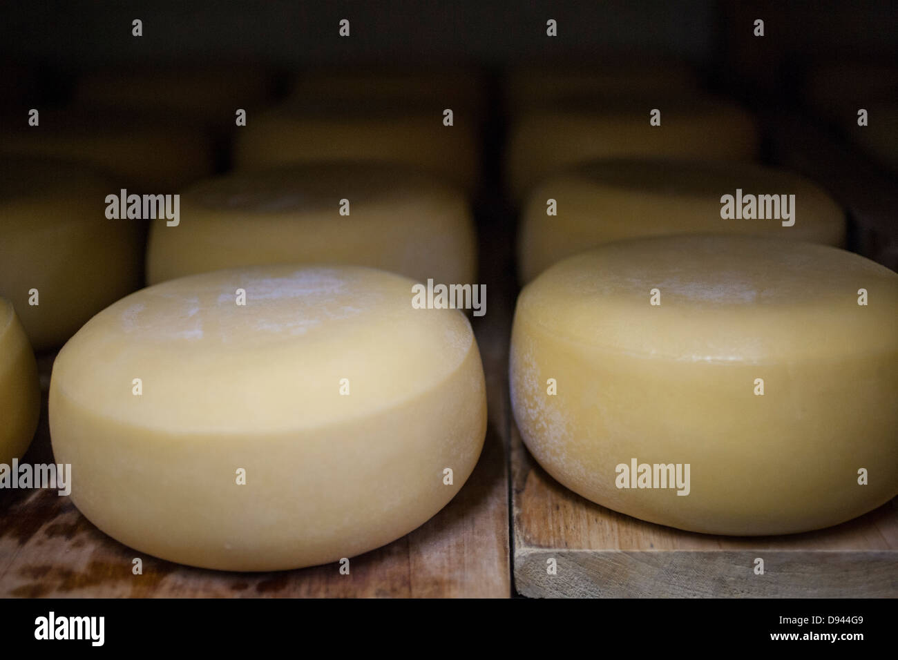 Rounds hi-res stock photography and images - Alamy