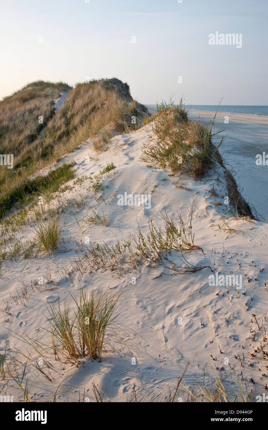 Sand dume on coastline Stock Photo - Alamy