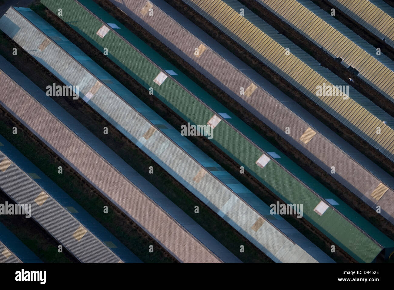 Mink farm hi-res stock photography and images - Alamy