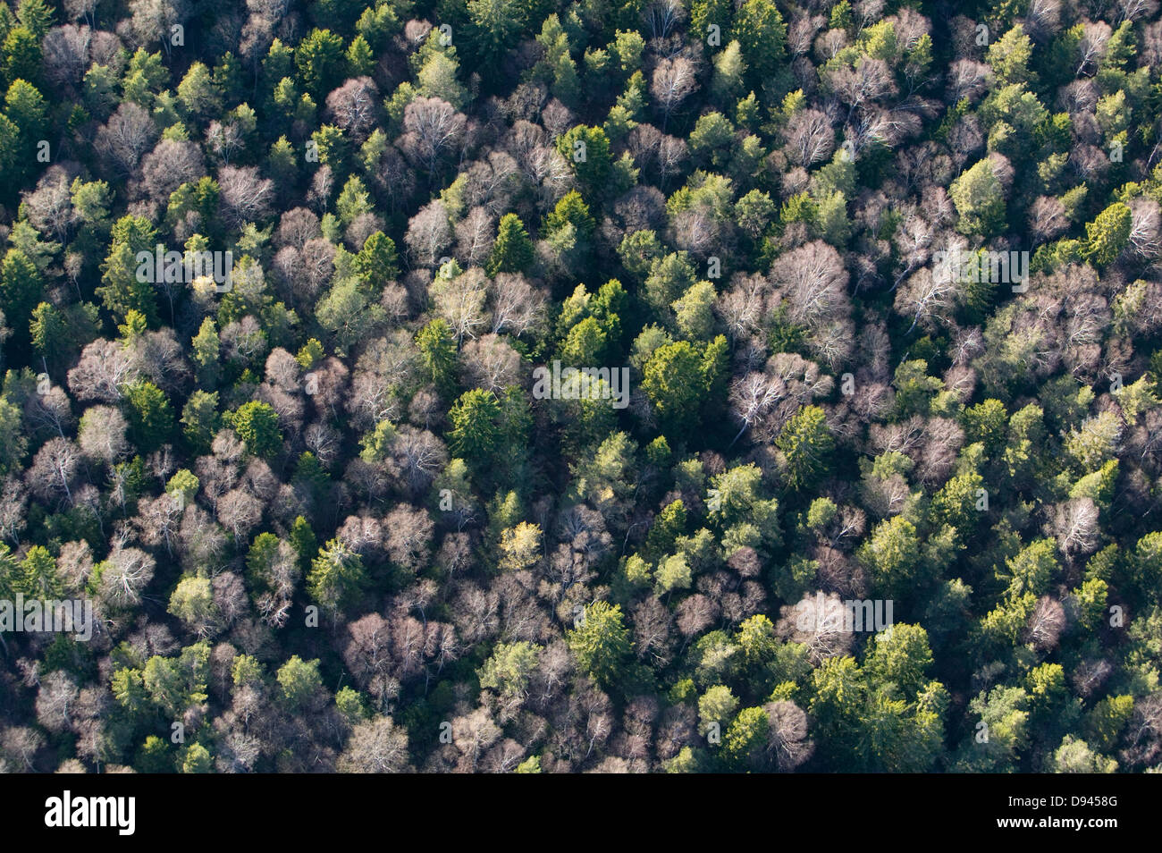 Sweden forest aerial hi-res stock photography and images - Alamy