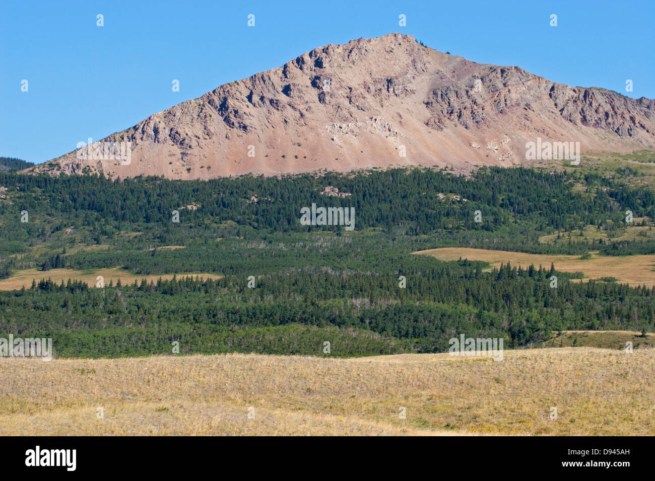 Lakeview Ridge, a mountain peak in Waterton park with prairie grassland ...