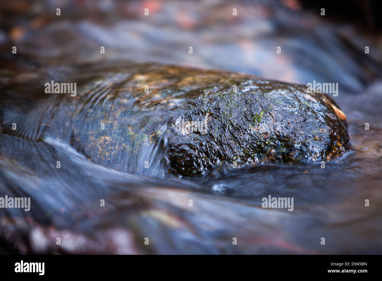 Detail of rock in creek Stock Photo - Alamy
