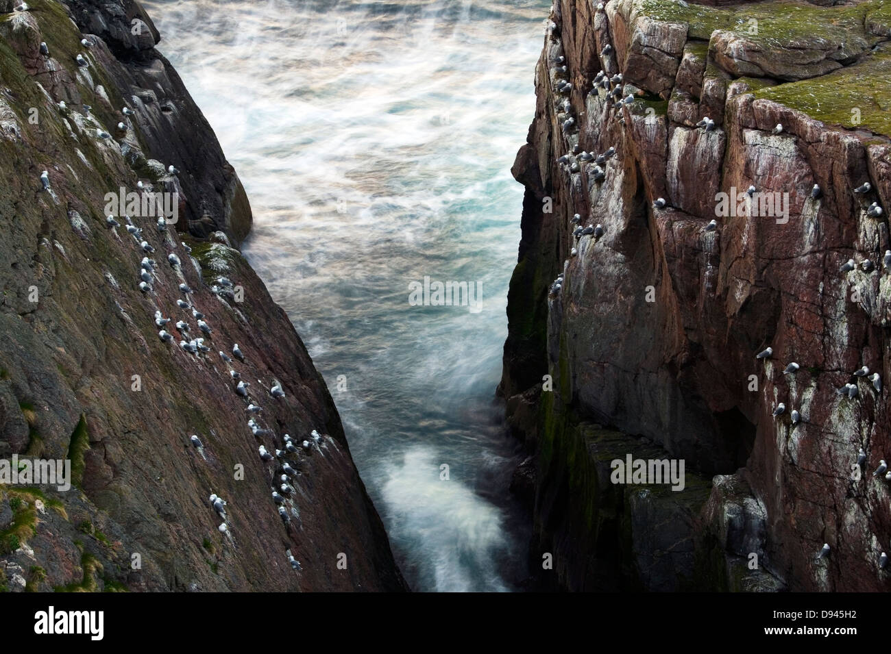 Cliffs by the sea, Norway Stock Photo - Alamy