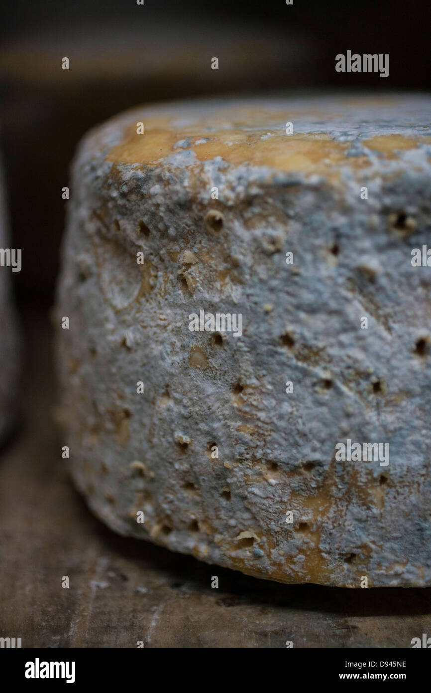 blue cheese wheels being aged on a shelf Stock Photo - Alamy