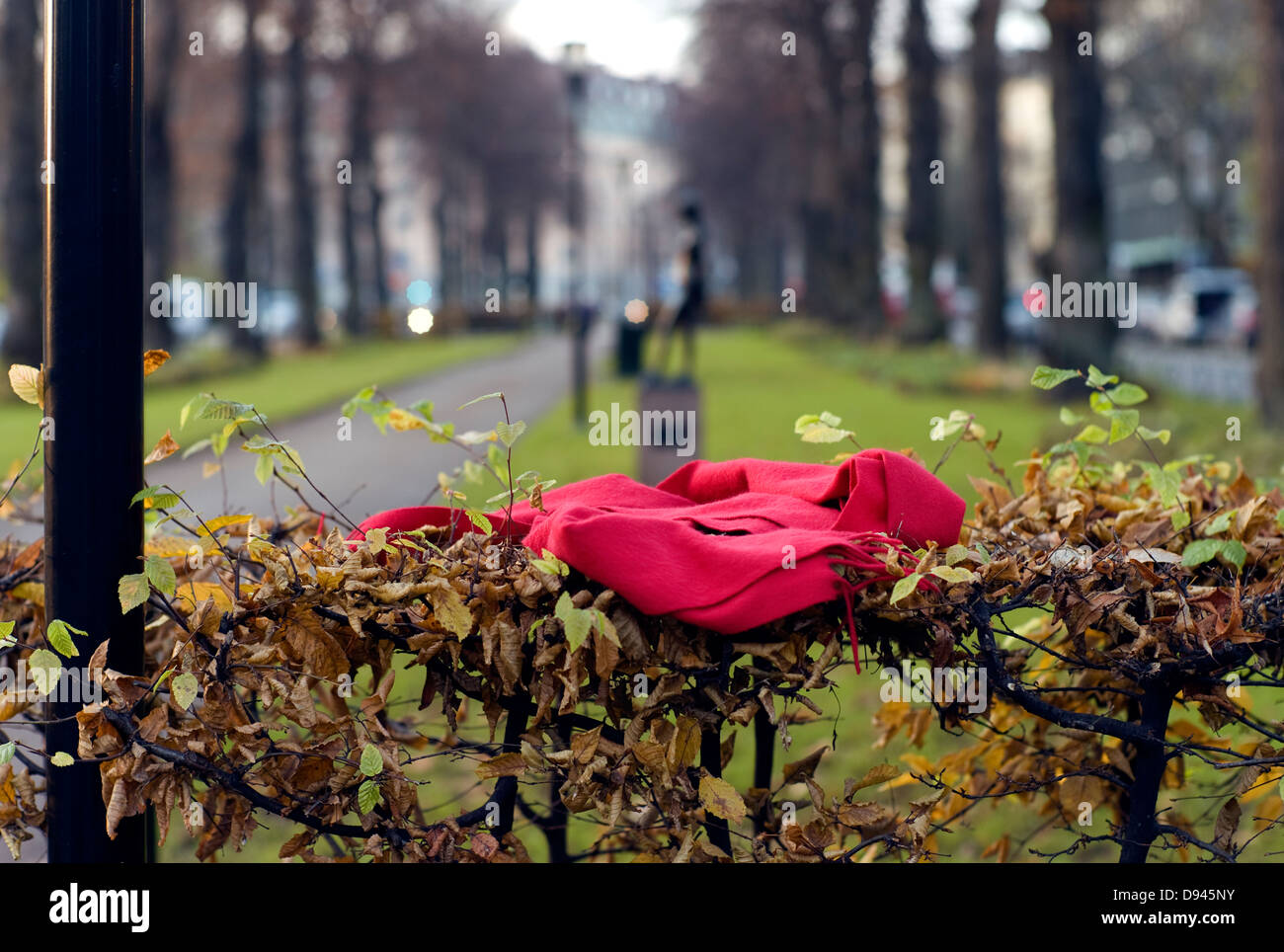 Red jumper on hedge in park Stock Photo - Alamy