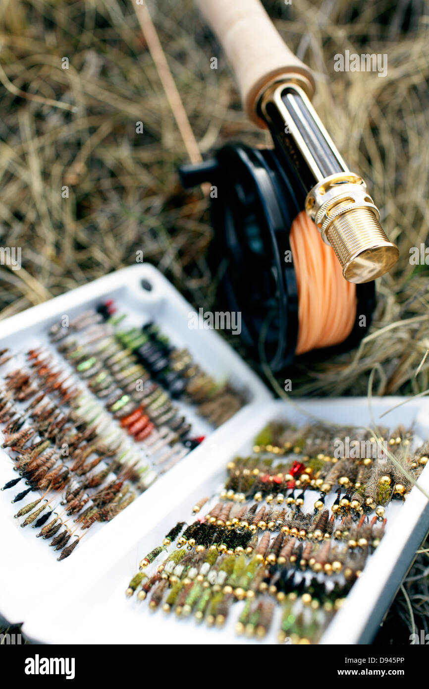 True flies hi-res stock photography and images - Alamy