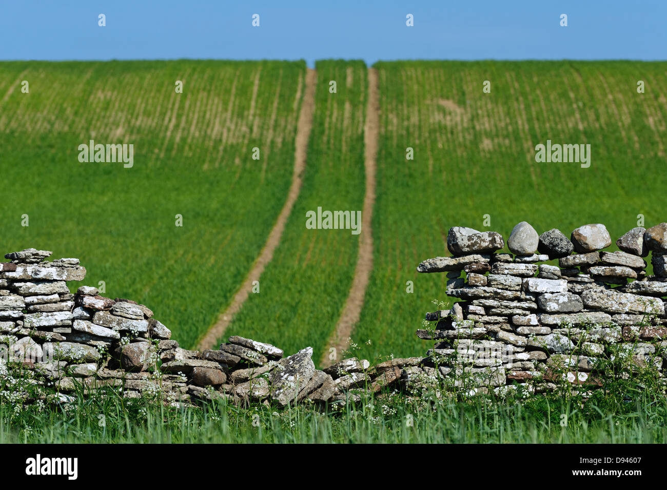Stone wall and fields in background Stock Photo - Alamy