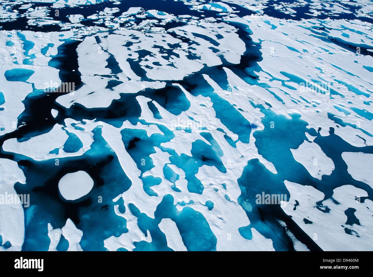 Nature, the Antarctic Stock Photo - Alamy