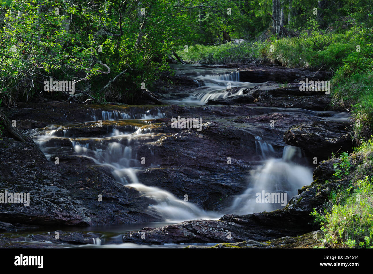 Streams with small waterfalls in forest Stock Photo - Alamy
