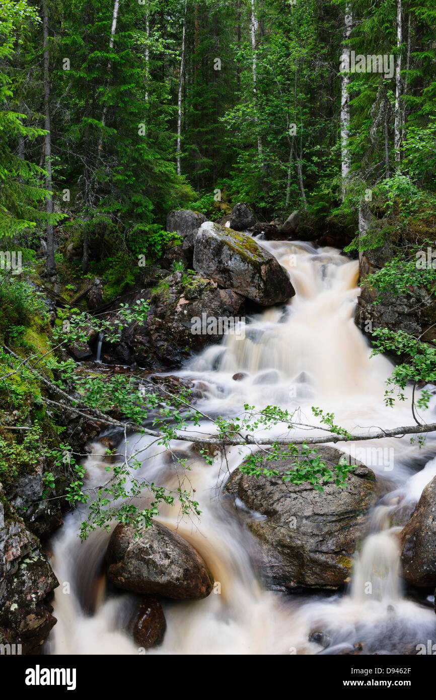 High angle view stream hi-res stock photography and images - Alamy